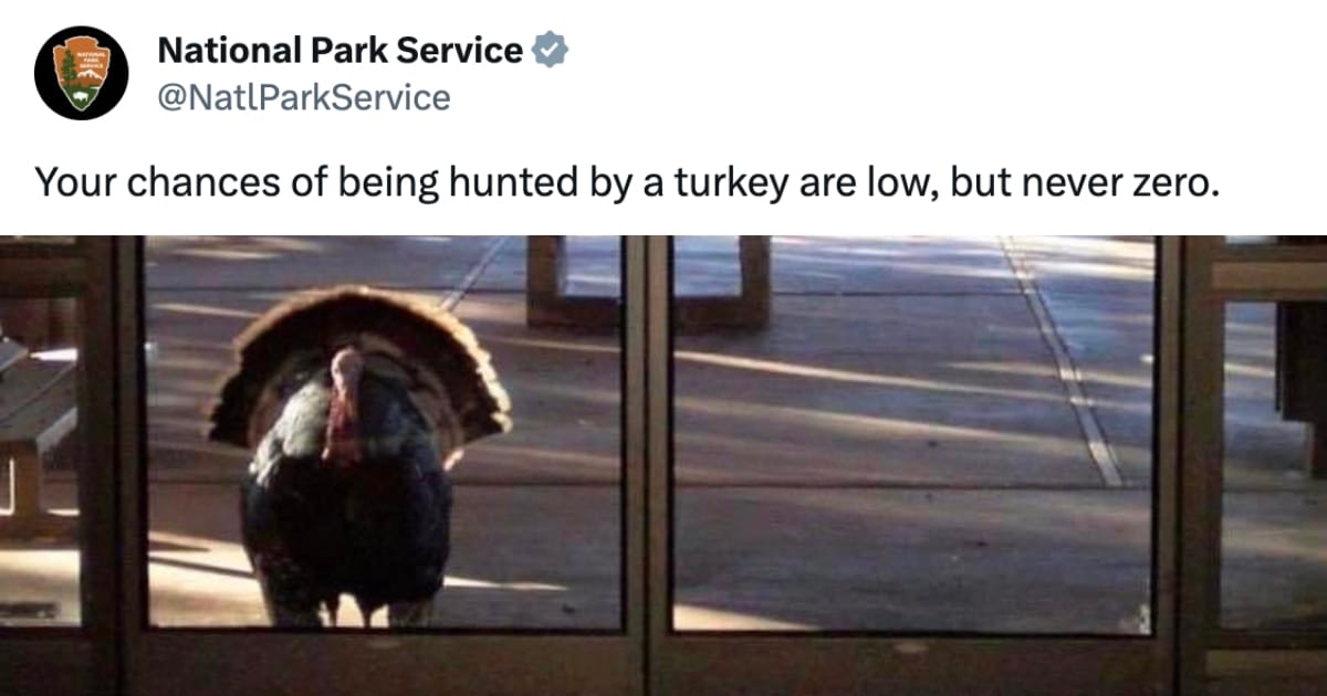 The National Park Service Twitter Is One of the Funniest Out There
