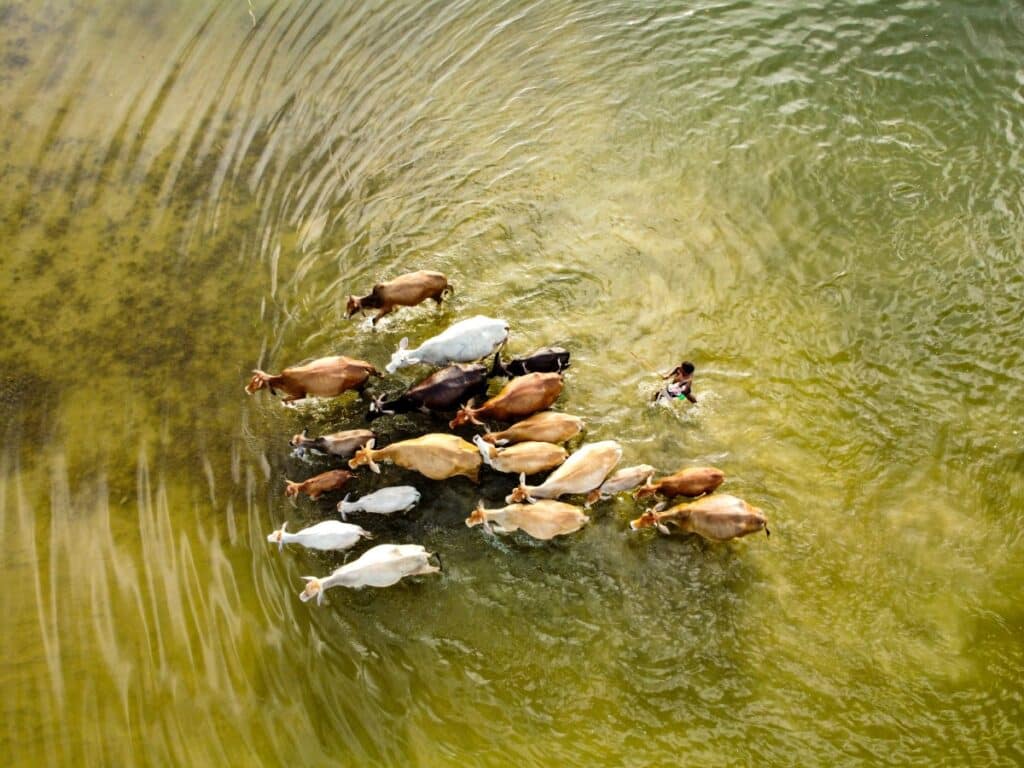 2023 Environmental Photographer of the Year Contest Winners