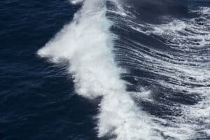 What Are Rogue Waves? Learn About This Dangerous Ocean Phenomena