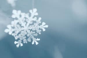The Biggest Snowflake Ever Was Larger Than You’d Think