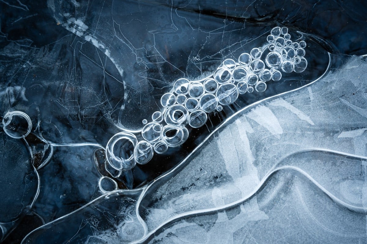 Stunning Macro Photos Pay Homage to Frozen Beauty of Winter