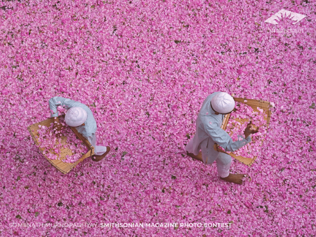 60 Incredible Finalists Announced From the Smithsonian Magazine Photo ...