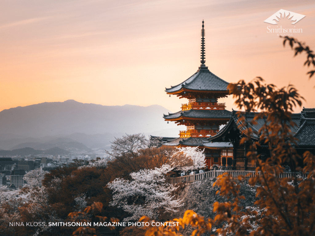 60 Incredible Finalists Announced From the Smithsonian Magazine Photo ...