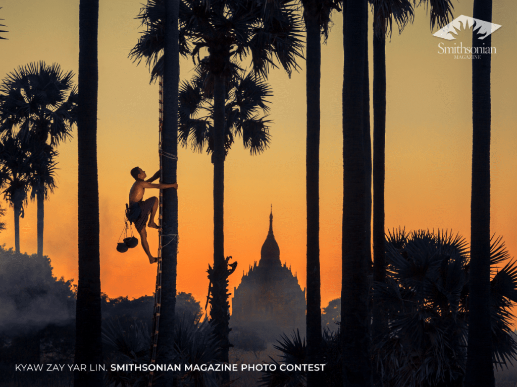 60 Incredible Finalists Announced From the Smithsonian Magazine Photo ...