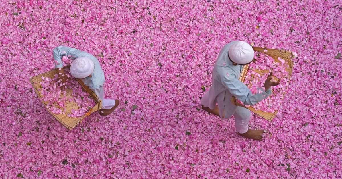 15 Incredible Finalists of the Smithsonian Magazine Photo Contest