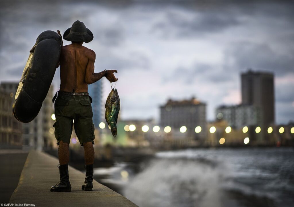 15 Finalists From Renowned Food Photography Contest