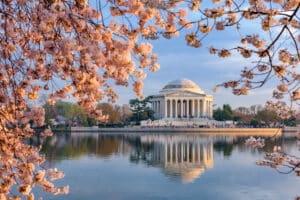 Japan Gifts Washington D.C. 250 New Cherry Trees