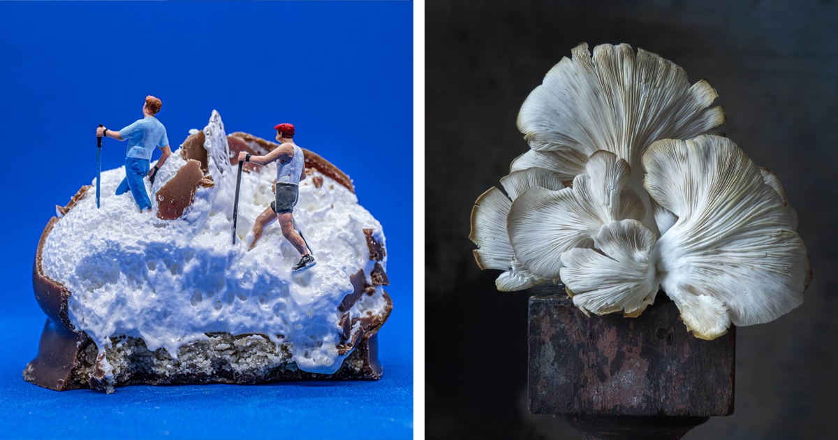 15 Finalists From Renowned Food Photography Contest