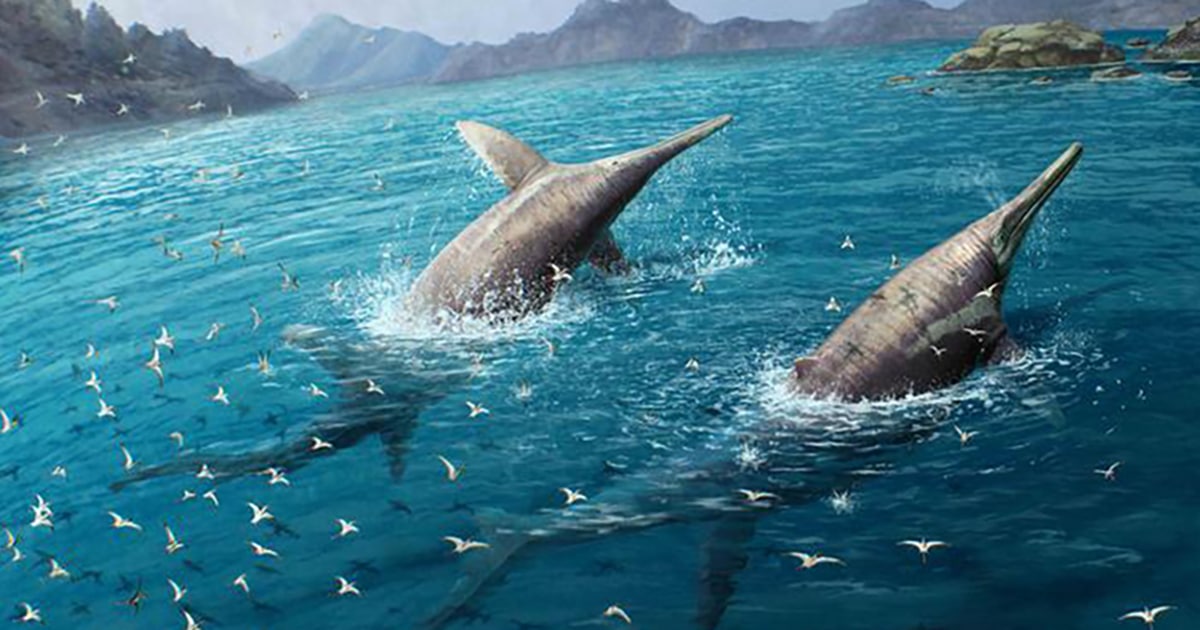 Meet Ichthyosaur Severnensis, World's Largest Aquatic Prehistoric Reptile