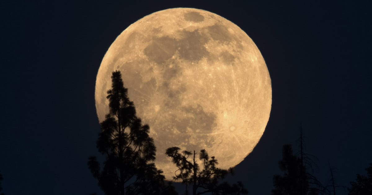 Get Ready for the Full Flower Moon on the Night Sky Tonight