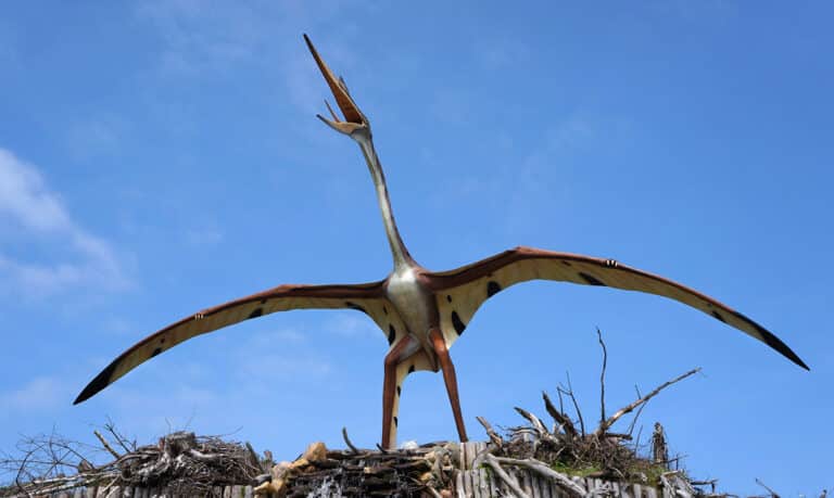 Meet the Quetzalcoatlus, Enormous Prehistoric Flying Lizards