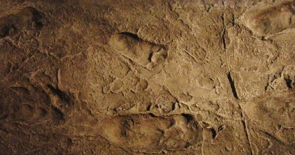 Oldest Hominid Footprints Endangered by Climate Change