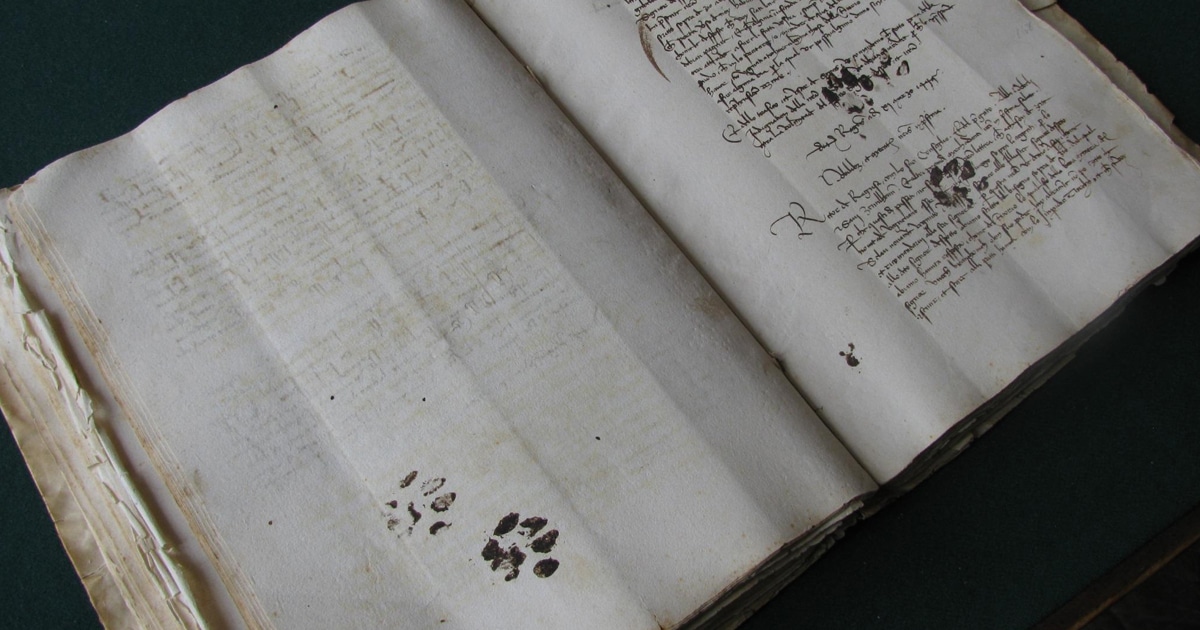 15th Century Manuscript Is Damaged by Cat With Note To Prove It