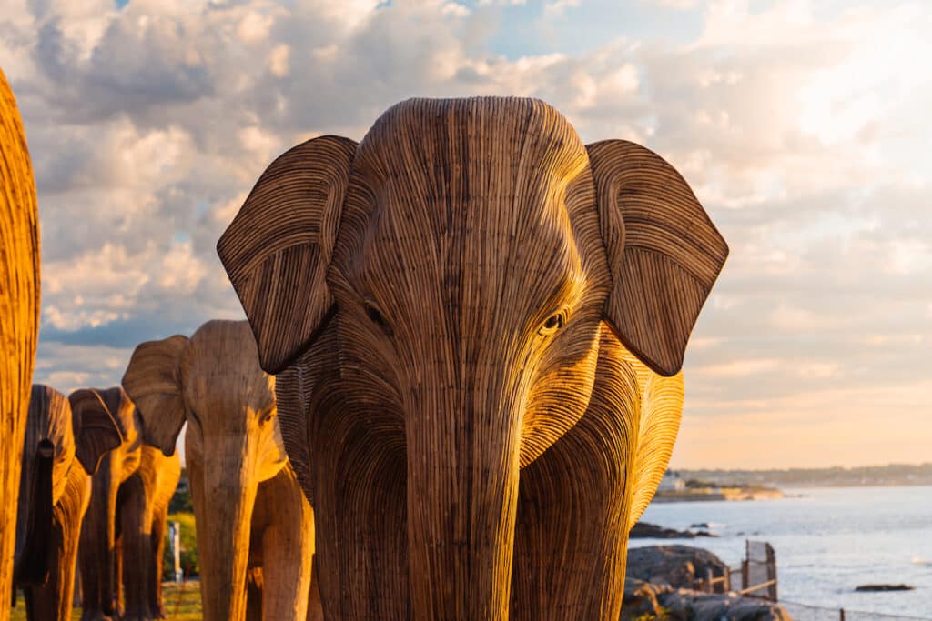100 Life-Sized Elephant Sculptures Are Embarking on a Journey Across ...