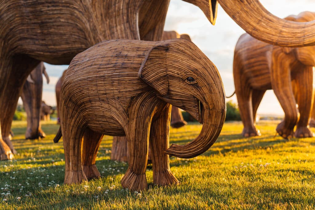 100 Life-Sized Elephant Sculptures Are Embarking on a Journey Across ...