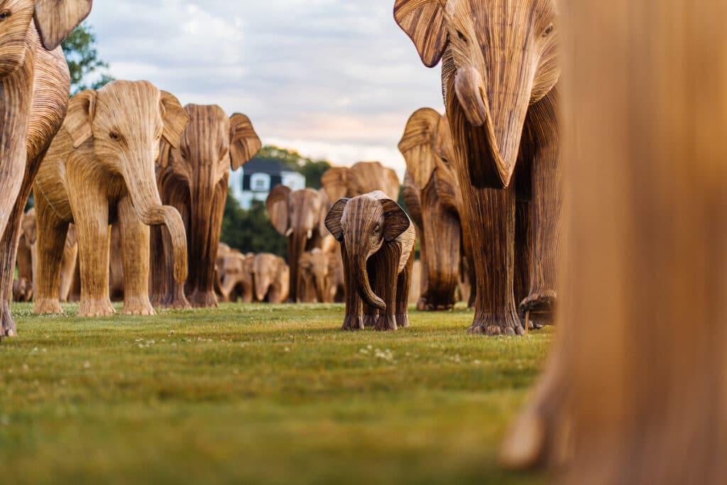 100 Life-Sized Elephant Sculptures Are Embarking on a Journey Across ...