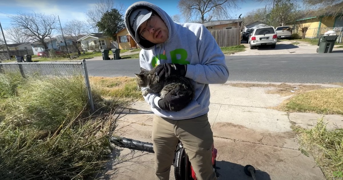 Viral Landscaper Raises Over $188k for Local Cat Shelter