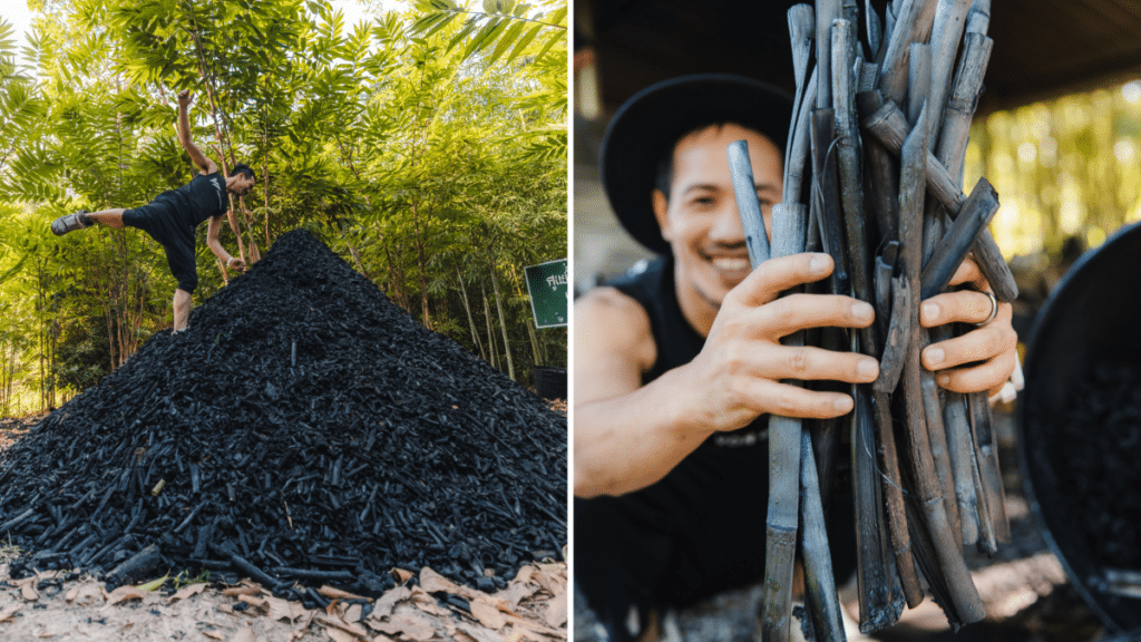 20-Foot Phoenix Made From Biochar Represents the Average Person’s ...