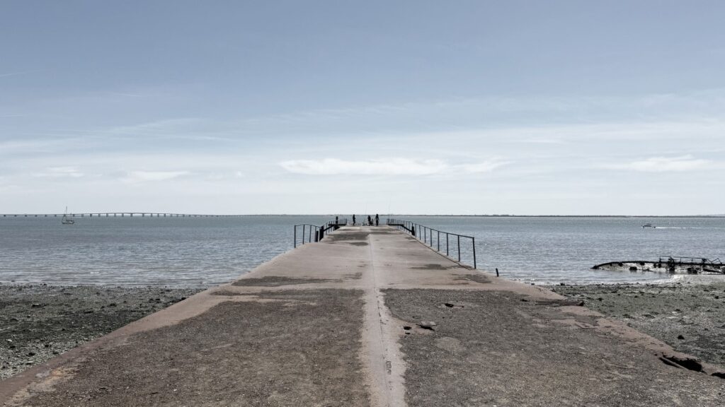Chic Urban Swimming Pool in Lisbon Lets People Swim on River