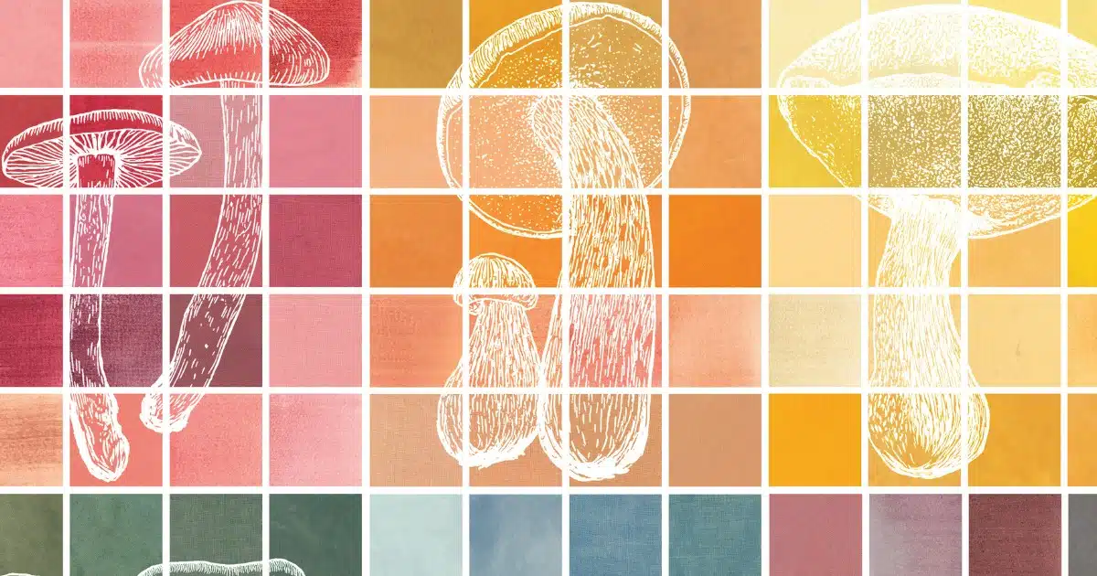 The "Mushroom Color Atlas" Compiles All the Shades of Fungi