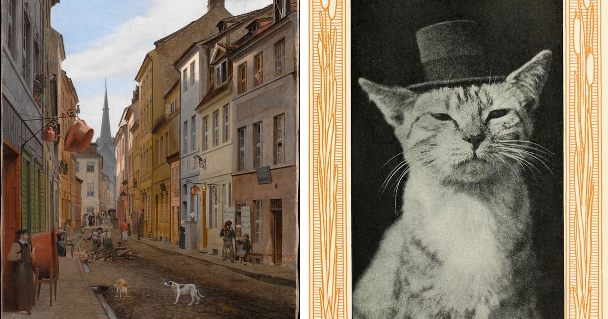 Public Work AI Search Sorts 100,000+ Copyright-Free Images