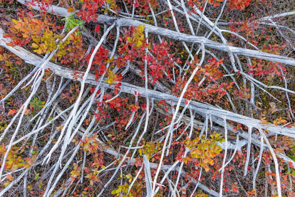 Incredible Winners of the Natural Landscape Photography Awards