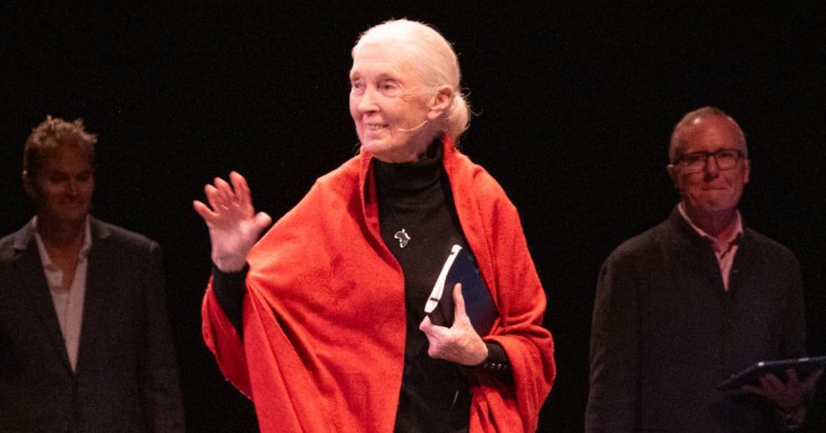 Thousands Flock to Dr. Jane Goodall’s Lectures Around the U.S.