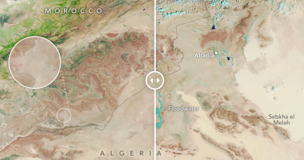 NASA Satellite Captures Parts of the Sahara Desert Turning Green