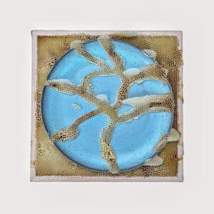 Ava Roth Collaborates with Honeybees to Transform Beeswax into Art | My ...