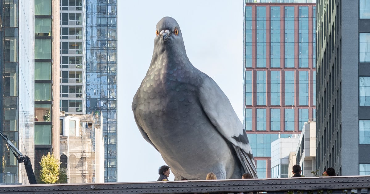 NYC's Pigeon Sculpture Challenges What You Think of These Birds