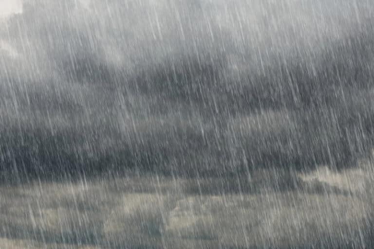 Carnian Pluvial Event: Learn About the Time It Rained for Over a ...