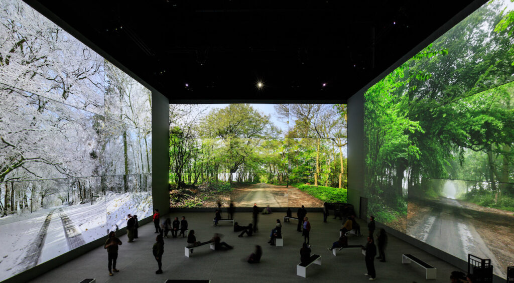 Immersive David Hockney Exhibition Presents Colorful and Intimate ...