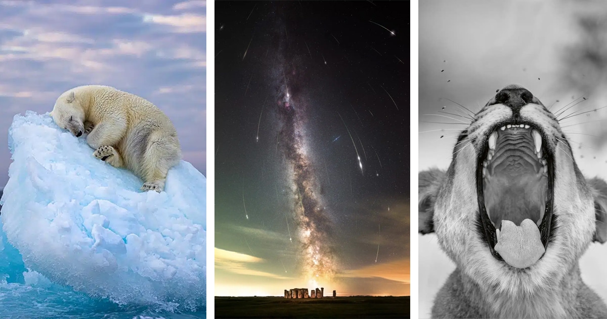 Best Photos of 2024: Top 45 Photographs From Around the World