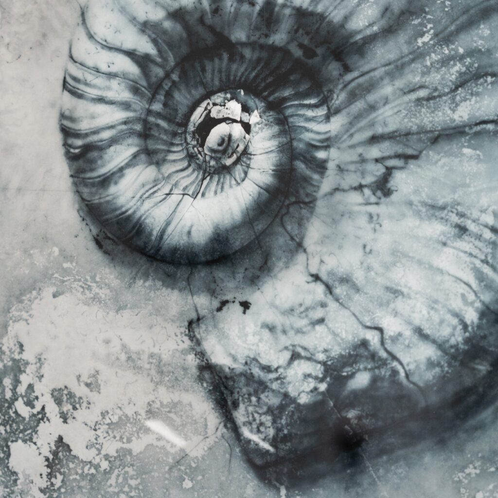 Artist Turns Icy Landscape Into Ephemeral Art Inspired by Spiral Forms ...