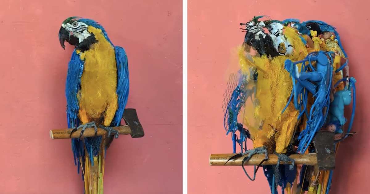 Artist Plays With Perspective To Build Bird Sculptures