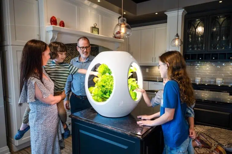 Plantaform Smart Garden Wins CES 2025 Innovation Award