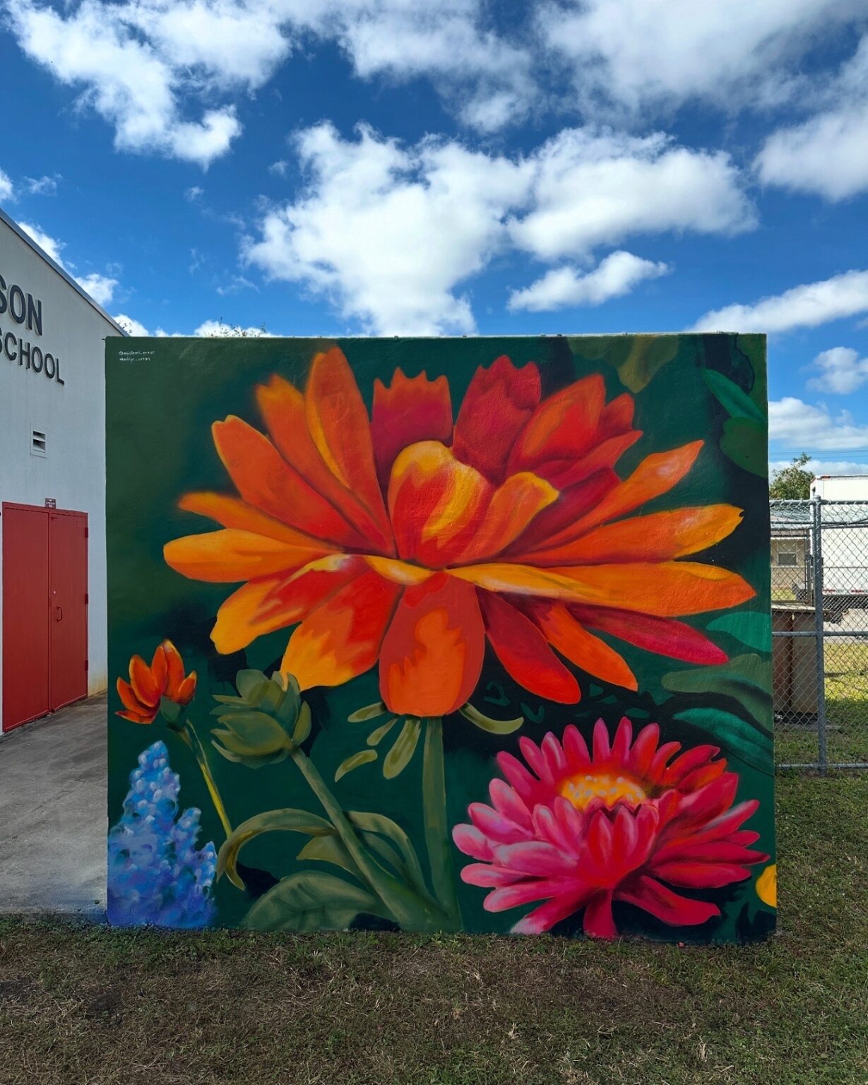 Miami Non-Profit Transforms Schools Into Art