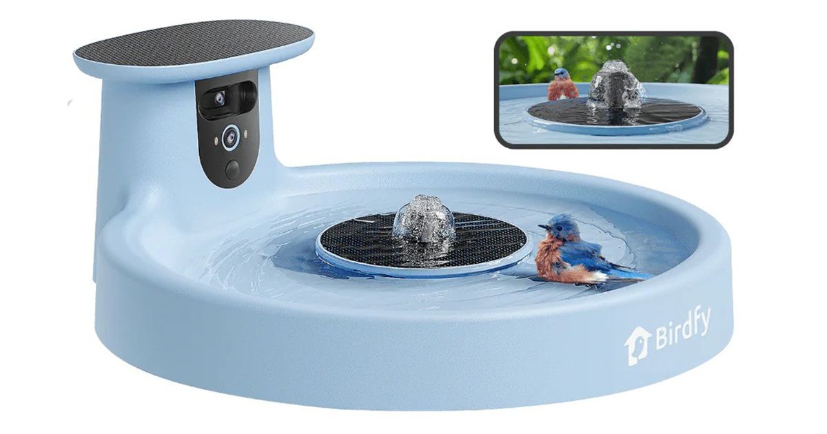 Watch Your Feathered Friends Up Close with This Smart Bird Bath