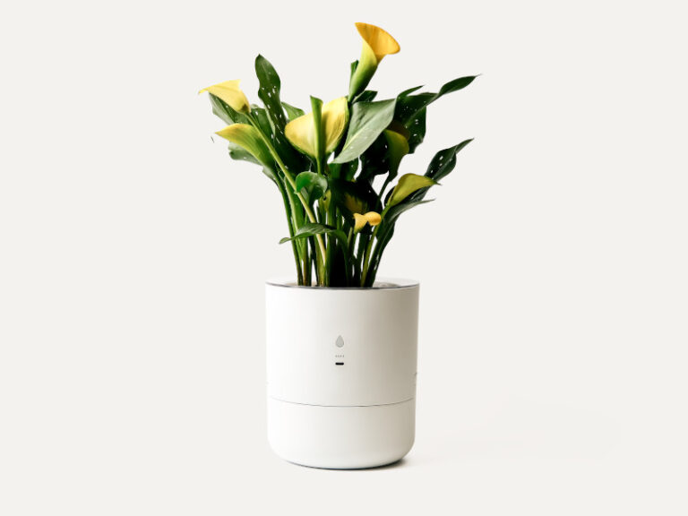 CES 2025: Smart Self-Watering Planter Keeps Your Plants Alive With Help ...