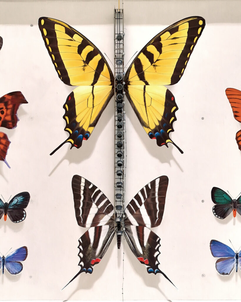 35,000-Square-Foot Butterfly Mural on Miami Rooftop Adds Pop of Color to the City Skyline | My ...