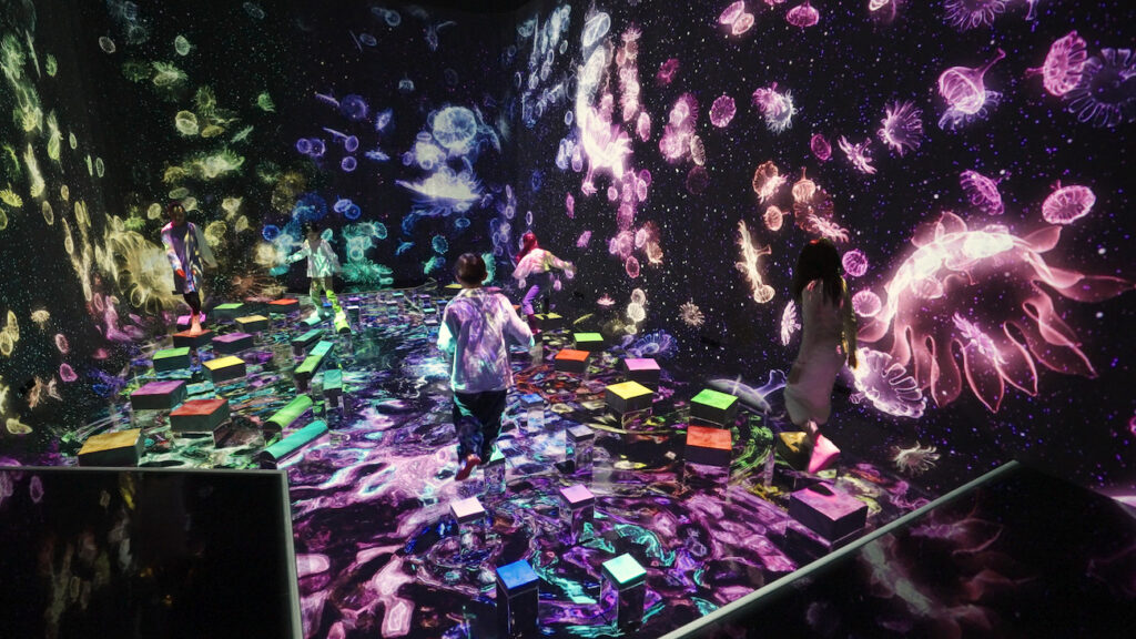 Immersive Installations Offer a Rich and Sensory Experience