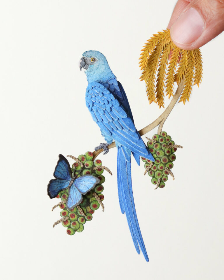 These Lifelike Paper Portraits Shine a Light on Endangered Parrots