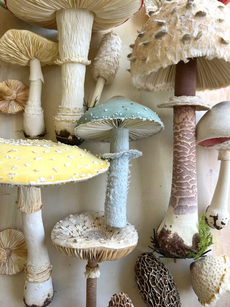 Delicate Paper Sculptures Showcase the Beauty of Nature