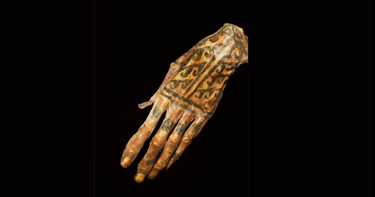 Centuries-Old Chancay Tattoos Revealed With Laser Technique