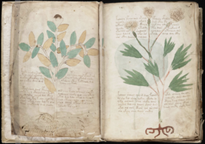 The Undecipherable Script of the 15th-Century Voynich Manuscript