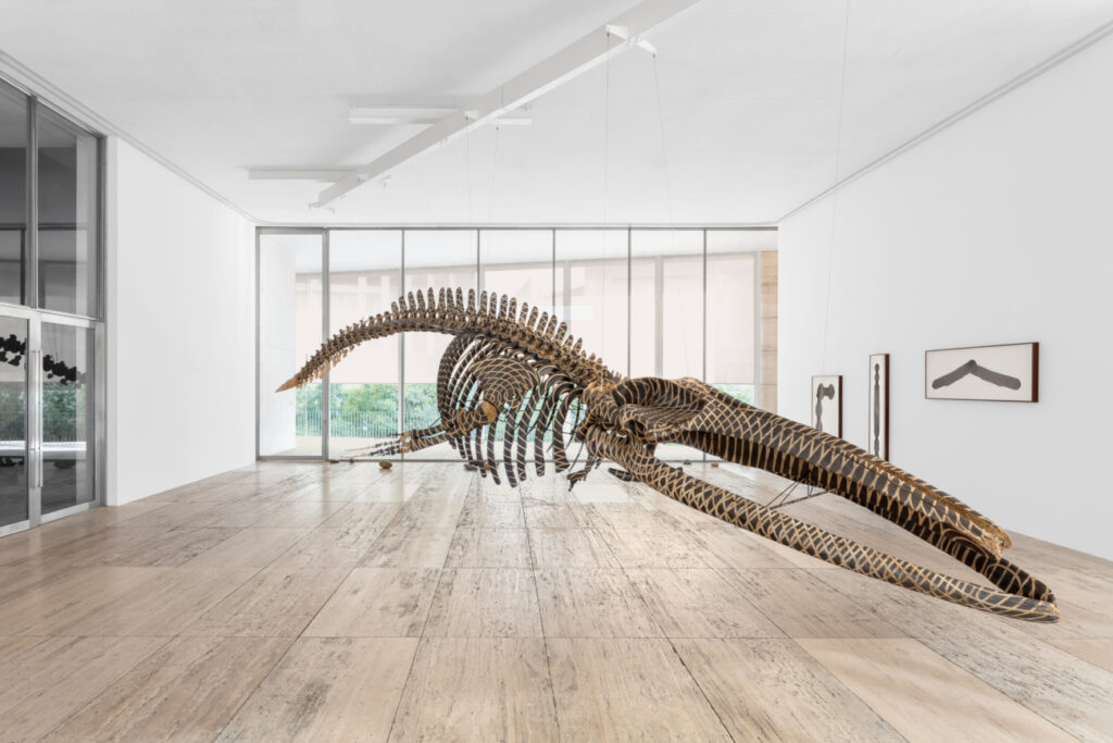 Mexican Artist Displays 40 Years of Work Blurring the Lines Between Art ...