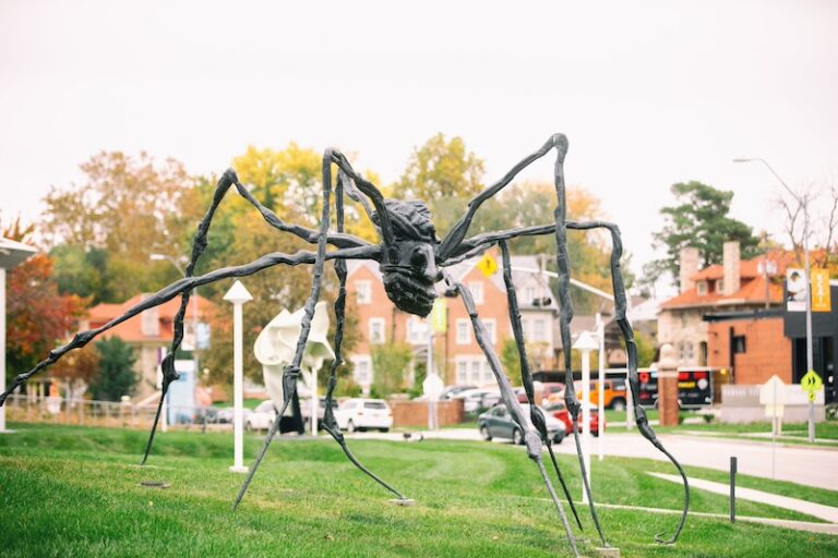 Louise Bourgeois: Learn About the Artist's Life and Defining Works