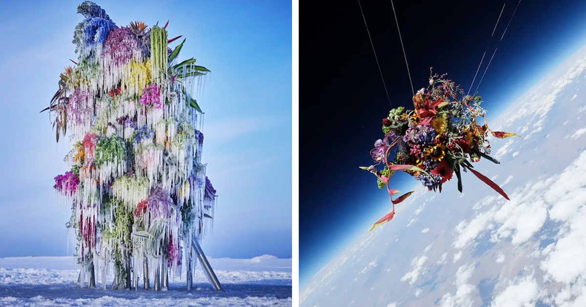 Innovative Floral Arrangements Explore Where Flowers Can Thrive