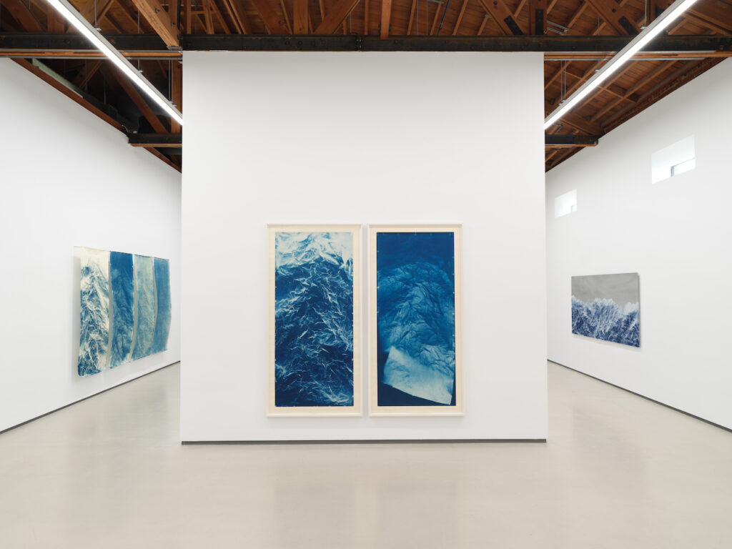 Vivid Cyanotypes Explore the Differences Analog and Digital Art