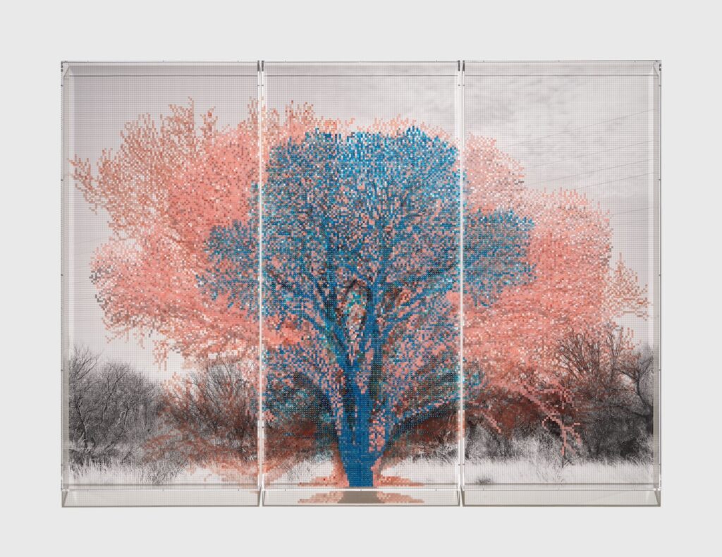 Charles Gaines Conceptual Art Applies Order to Trees